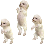 List of Tricks in Nintendogs | Nintendogs Wiki | Fandom