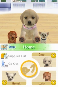 Home | Nintendogs Wiki | Fandom