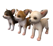 Starter Breeds | Nintendogs Wiki | Fandom