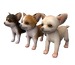 Dog Breeds | Nintendogs Wiki | Fandom