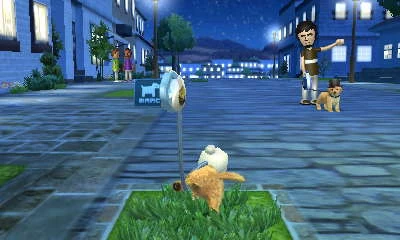 Grass Patch | Nintendogs Wiki | Fandom