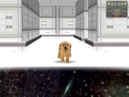 Outer Space | Nintendogs Wiki | Fandom