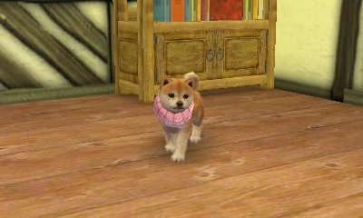 Scarf | Nintendogs Wiki | Fandom