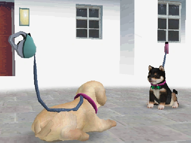 Walk/Gallery | Nintendogs Wiki | Fandom