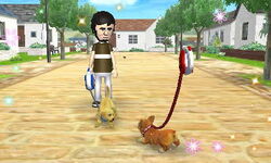 Labrador Retriever | Nintendogs Wiki | Fandom