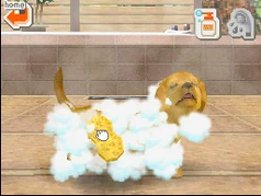 Bath | Nintendogs Wiki | Fandom