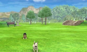 Park | Nintendogs Wiki | Fandom