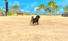 Park | Nintendogs Wiki | Fandom