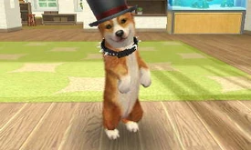 List of Tricks in Nintendogs + Cats | Nintendogs Wiki | Fandom
