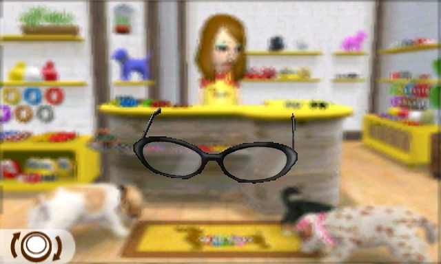 Black Fashion Specs | Nintendogs Wiki | Fandom