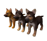 German Shepherd | Nintendogs Wiki | Fandom