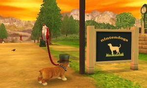 Park | Nintendogs Wiki | Fandom