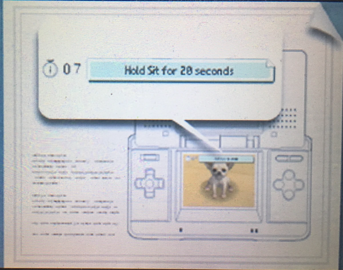 Obedience Trial Book | Nintendogs Wiki | Fandom