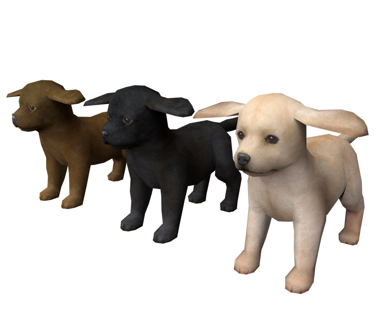 Labrador Retriever | Nintendogs Wiki | Fandom