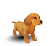 Miniature Dachshund | Nintendogs Wiki | Fandom