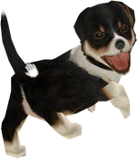 List of Tricks in Nintendogs | Nintendogs Wiki | Fandom