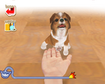 Nintendogs | Nintendogs Wiki | Fandom