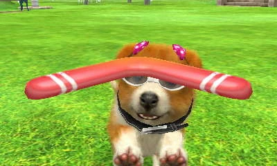 Nintendogs + Cats/Glitches | Nintendogs Wiki | Fandom