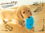 Nintendogs y Nintendogs+cats | Wiki Nintendogs pedia | Fandom