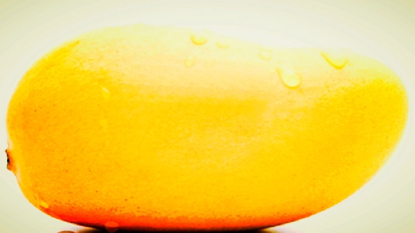 Fohgour fruit | Ninth-World Wiki | Fandom