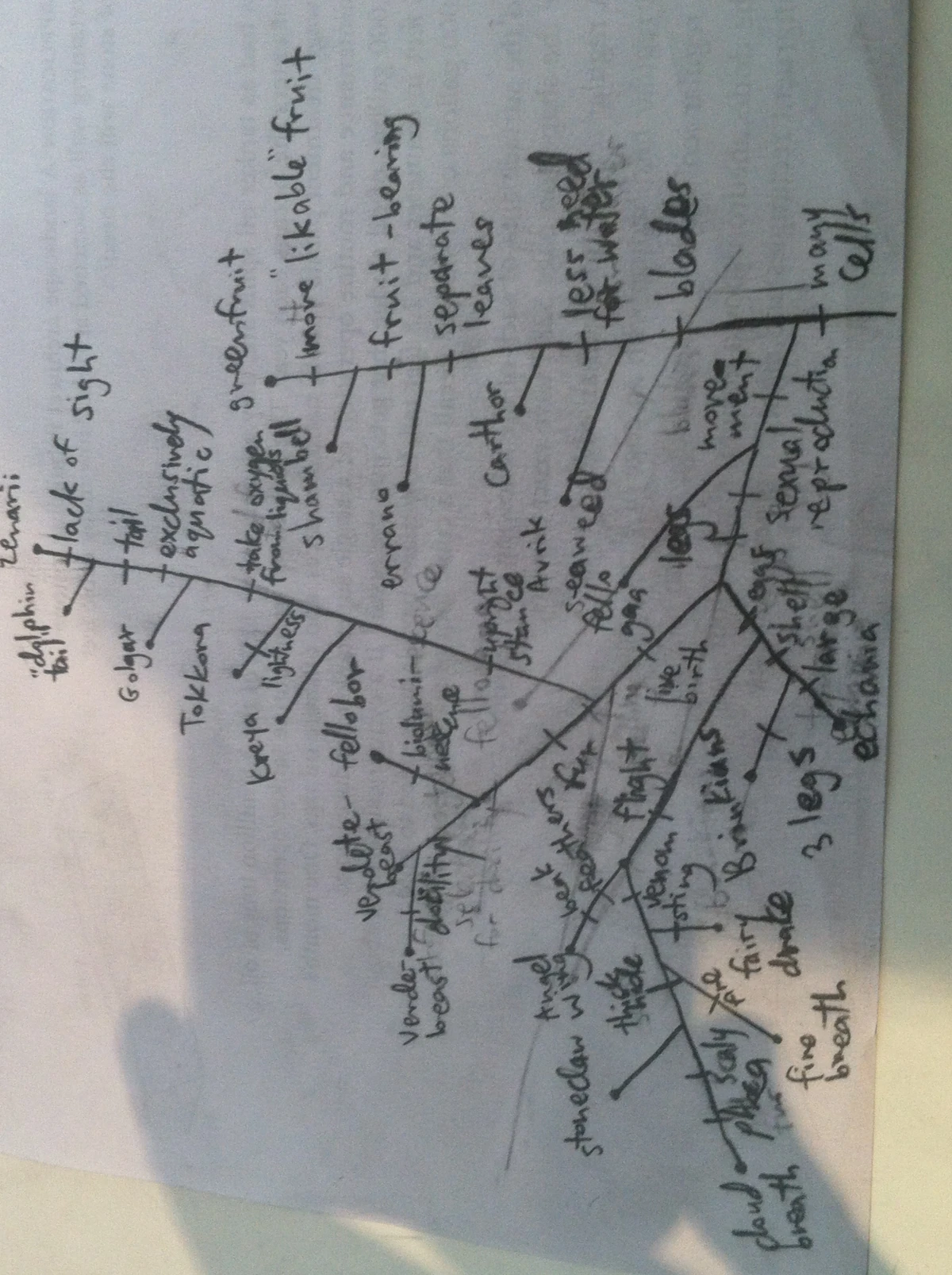 Evolution | Ninth-World Wiki | Fandom