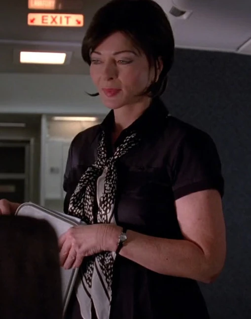 Flight Attendant (Barbara Scolaro) | Nip/Tuck Wiki | Fandom