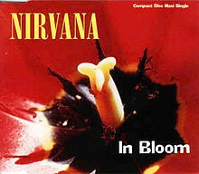 In Bloom (single) | Nirvana Wiki | Fandom