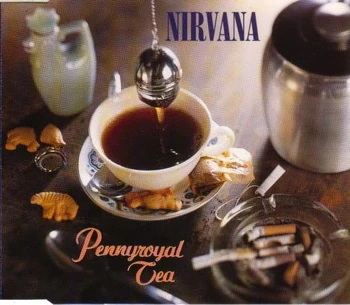 Pennyroyal Tea | Nirvana Wiki | Fandom