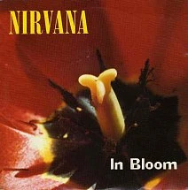 In Bloom | Nirvana Wikia | Fandom