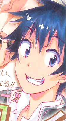 Raku Ichijō | Nisekoipedia | Fandom