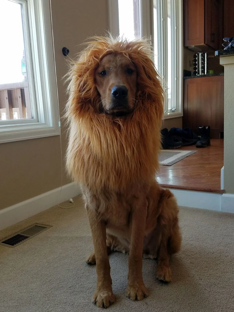 Nitro | Nitro Wiki | Fandom