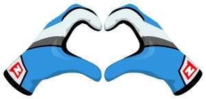 Heart Hands | Nitro Wiki | Fandom