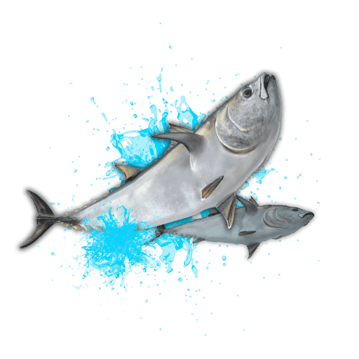 Fish | Nitro Wiki | Fandom