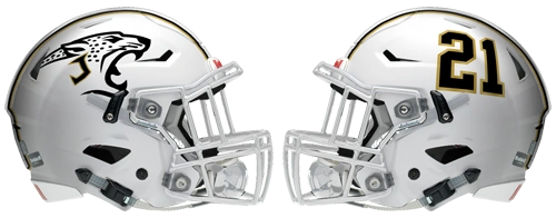 Johnson Jaguars | Nix World Wikia | Fandom