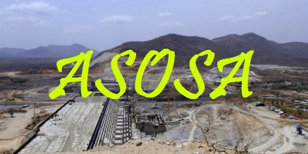 Asosa Njs Survivor Wikia Fandom