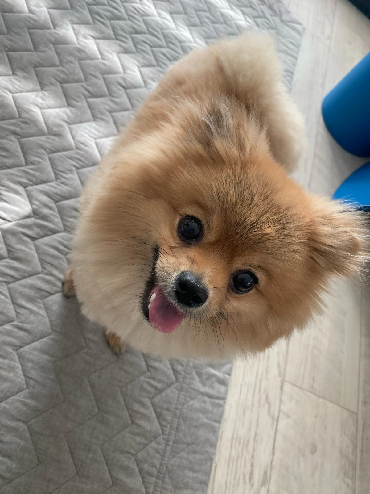 Bomi | NMIXX Wiki | Fandom