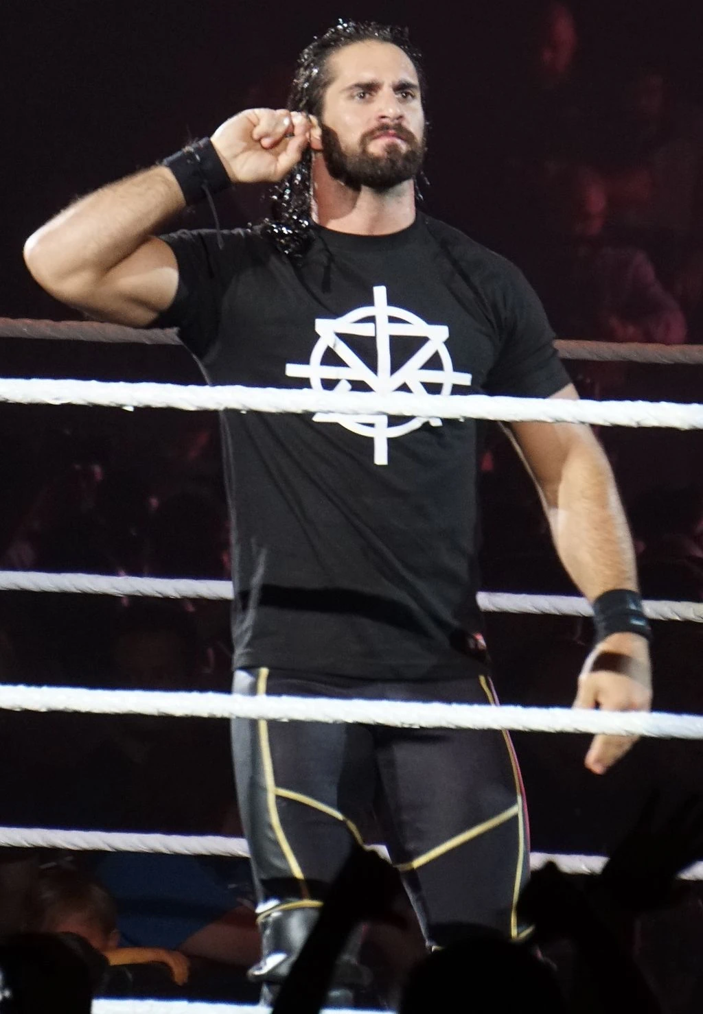 Seth Rollins | NNJ Wrestling Wikia | Fandom