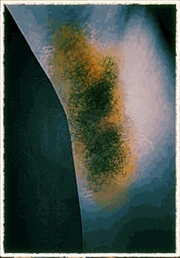 EnerJeka Addict | No, I am not a human Wiki | Fandom