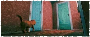 Cat | No, I am not a human Wiki | Fandom