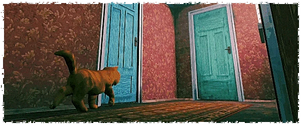 Cat | No, I am not a human Wiki | Fandom