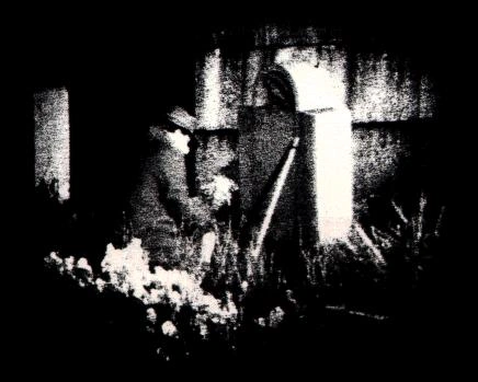 Poe Toaster | NO ONE WILL READ THIS Wiki | Fandom