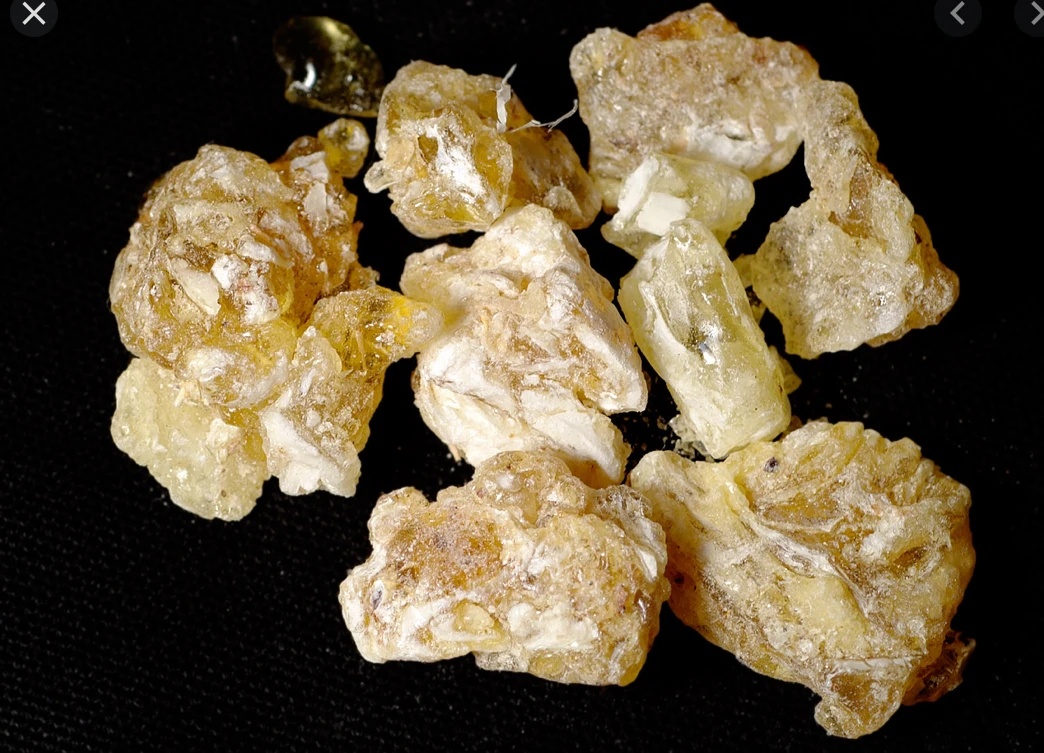 Kumme | No pictures! Whoops! Wiki | Fandom