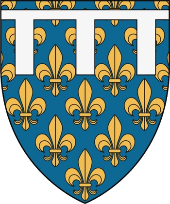 House of Valois-Orléans | Nobility Wiki | Fandom