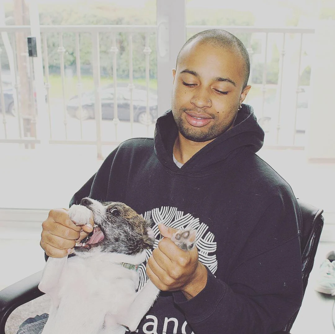 Ari G. | NoCopyrightSounds Wiki | Fandom