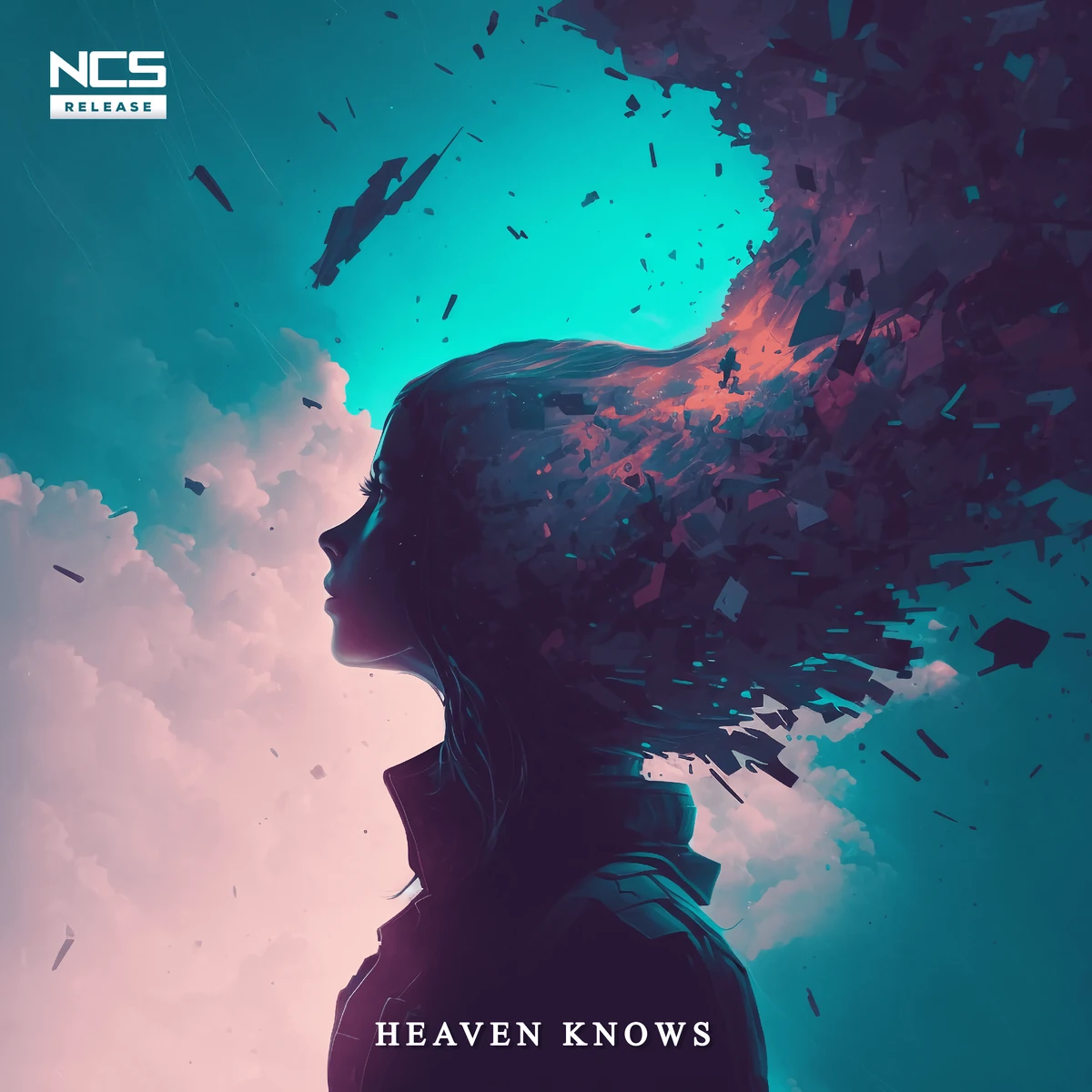 Heaven Knows | NoCopyrightSounds Wiki | Fandom