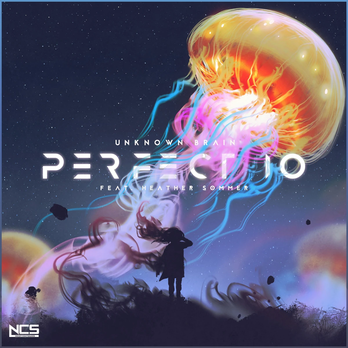 Perfect 10 | NoCopyrightSounds Wiki | Fandom