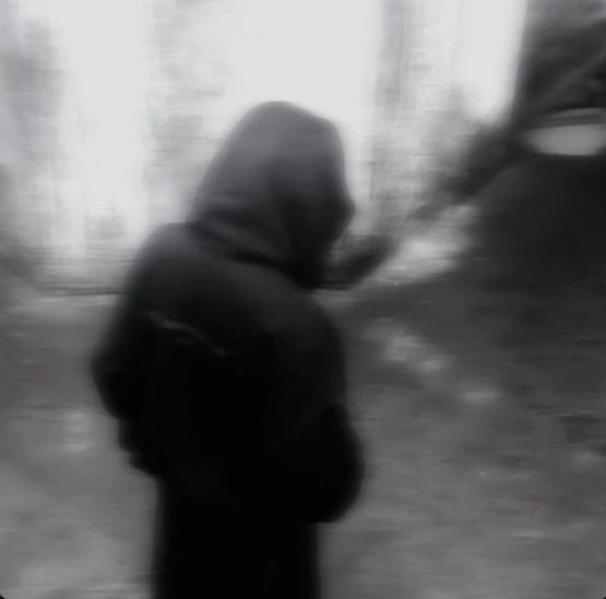 SHIRO | NoCopyrightSounds Wiki | Fandom