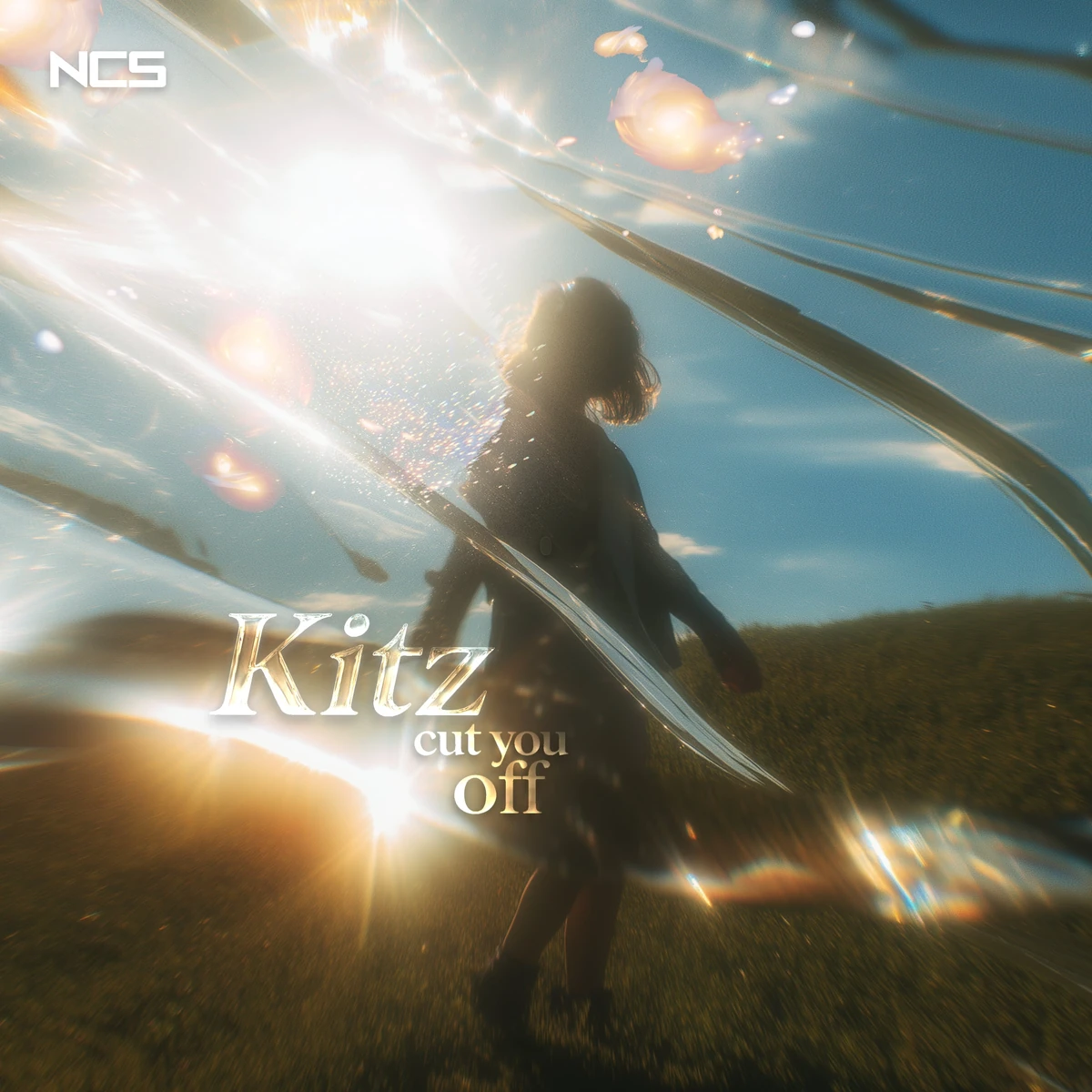 cut you off | NoCopyrightSounds Wiki | Fandom