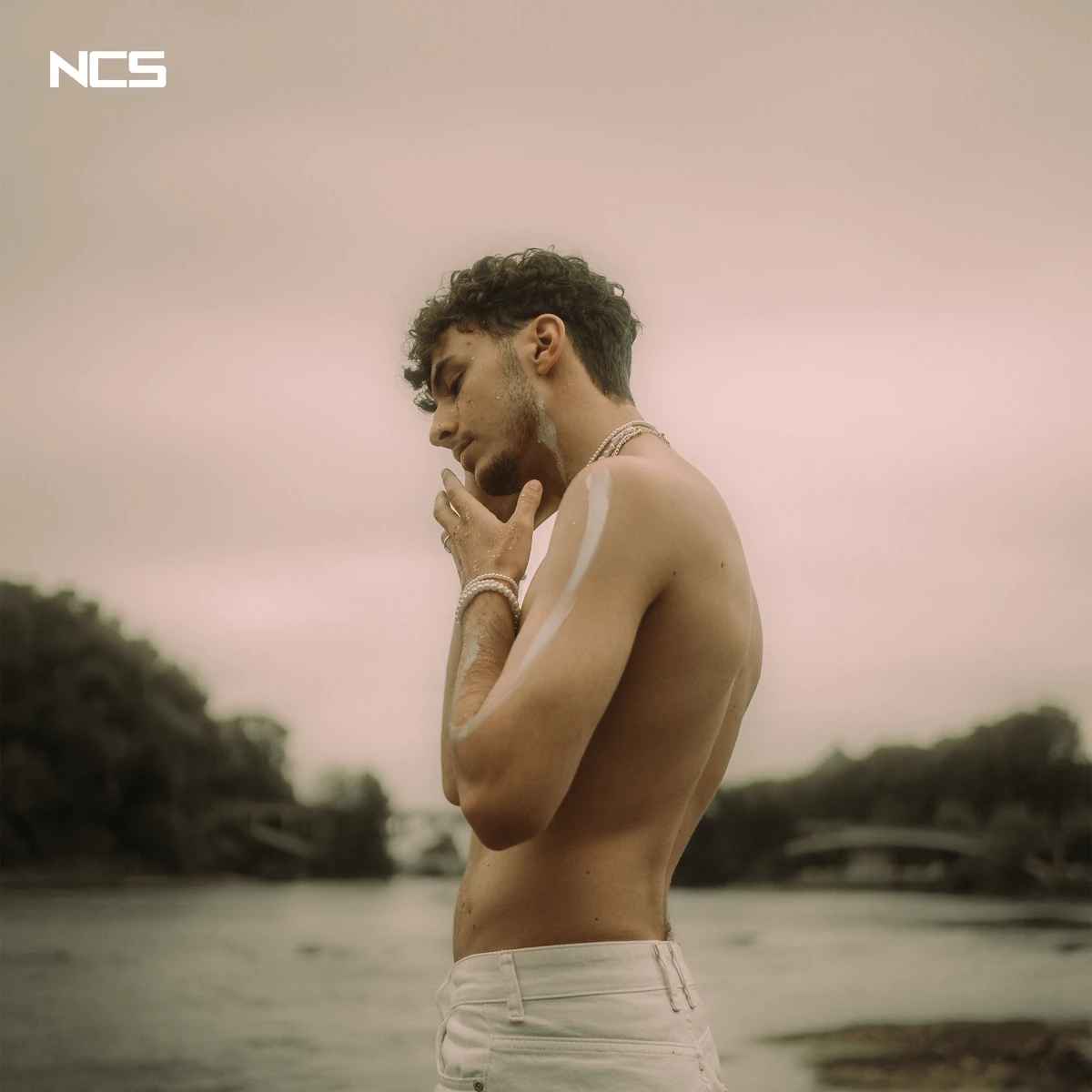 misunderstood LP | NoCopyrightSounds Wiki | Fandom