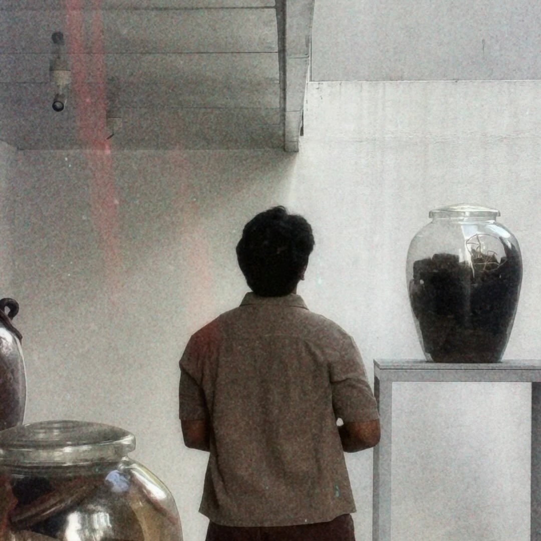 Xaron | NoCopyrightSounds Wiki | Fandom